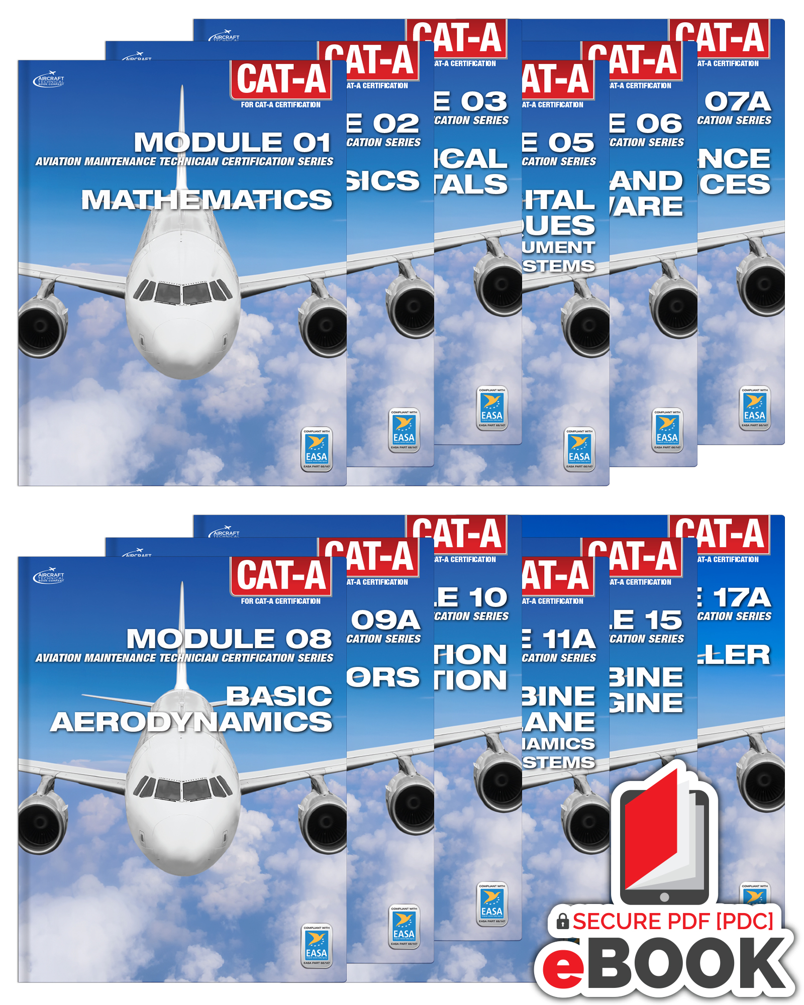 B1.1 and B2 Combined Study Set - Online